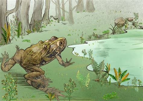 Ancient Frog Had A Belly Full Of Eggs In Oldest Fossil Discovery Of Its