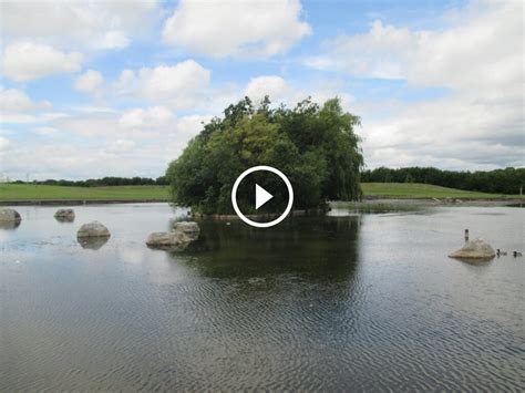 Habitat Surveys Environmental Consulting Fitzggerald Ecology