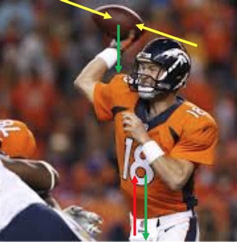 Linear Kinetics I Flashcards Quizlet