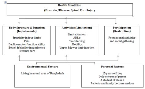Icf Model Template