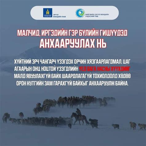 БАЙГУУЛЛАГА ХООРОНДЫН УЯЛДАА ХОЛБООГ ХАНГАХ МАЛЧИД ИРГЭДИЙН ҮҮРЭГ