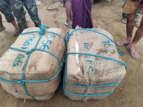 Mandalay ၉ အညာမြေ စစ်ဆင်ရေး အဖြစ် မြင်းခြံခရိုင်ထဲက စစ်အုပ်စုနဲ့ ပျူစခန်းတွေကို တိုက်ခိုက်ရာ