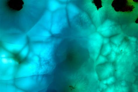 390+ Larimar Photos Stock Photos, Pictures & Royalty-Free Images - iStock