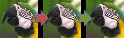 1 Image Compression Artifact Reduction Result Of Our Method Image 6