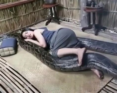 Wanita Ini Tidur Sambil Ngelus Ular Raksasa Lihat Apa Yang Terjadi Selanjutnya Rancah Post