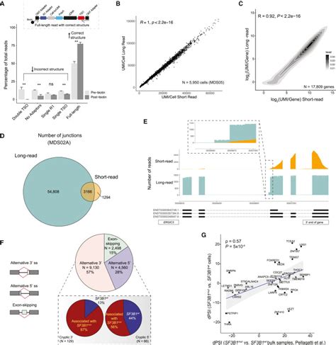 Single Cell Multi Omics Defines The Cell Type Specific Impact Of Splicing Aberrations In Human
