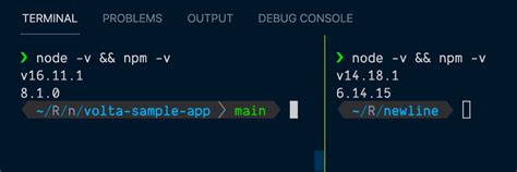introducing volta it manages your node js versions so you don t have