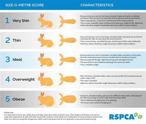 Rabbit Weight Gain Chart At Ladonna Teal Blog