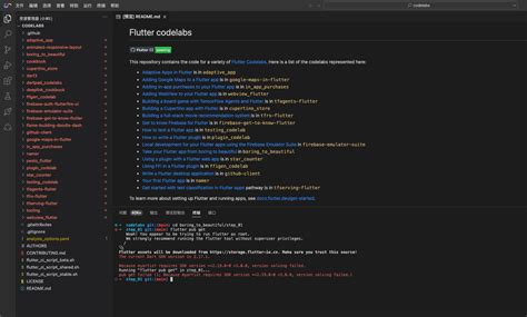 【在线编程】flutter 项目实战 腾讯云