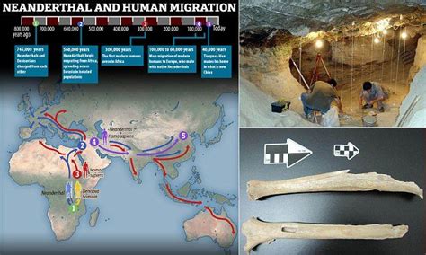 Tianyuan Man Fossils Hint At Diverse Genetic History Of East Asians