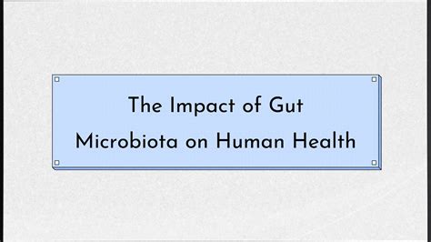 The Impact Of Gut Microbiota On Human Health Animated Video By Anime