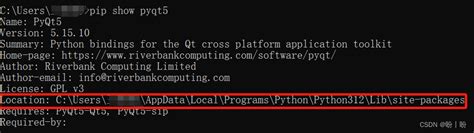 Python中使用pyqt5库时报错：没有qt平台插件可以初始化 Csdn博客