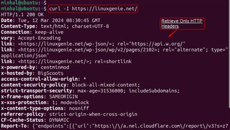 How To Install And Use Curl On Ubuntu Linux Genie