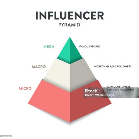 영향력 피라미드 전략 인포 그래픽 다이어그램 프리젠 테이션 배너 템플릿 벡터에는 영향력이 어떻게 작동하는지 설명하는 3 단계 Kol Koc 및 일반 고객이 있습니다 비즈니스