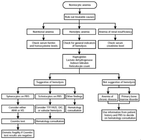 Raghad Abed On Linkedin Normocytic Anemia