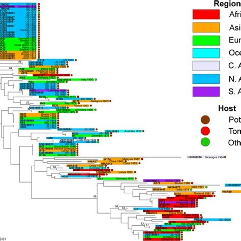 Structure Analysis Of Microsatellite Ssr Genotypes Of Phytophthora Download Scientific