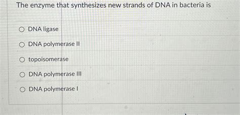 Solved The Enzyme That Synthesizes New Strands Of Dna In