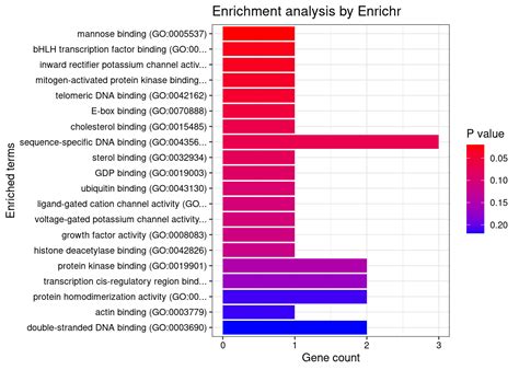 Scz Brain Anterior Cingulate Cortex Ba24