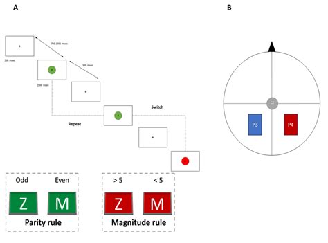 A Schematic Representation Of The Task Switching Task Used In This Download Scientific