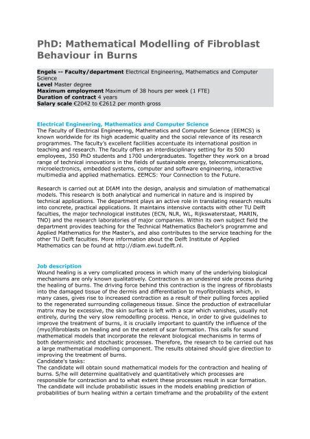 phd position on mathematical modeling of fibroblast tu delft