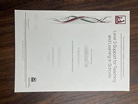 Buy Fake CACHE Level Support For Teaching Certificate