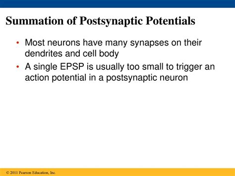 Neurons Synapses And Signaling Ppt Download