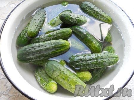 Маринованные корнишоны на зиму: 8 фото в рецепте