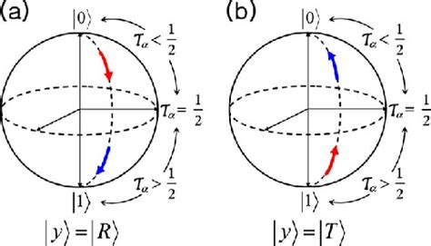 Color Online Schematic For Describing The Conditional Relaxation A For