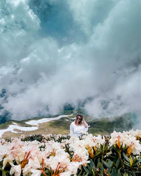 Диана про туризм по горам на РЖЯ А вы бы пошли со мной в поход Почему Instagram