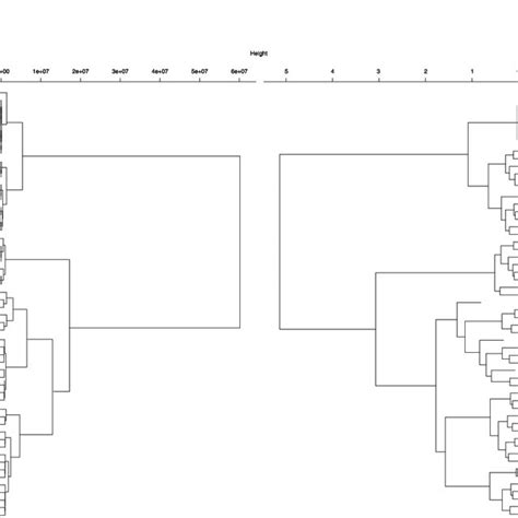 Comparison Of Trees Generated Using The Ward Method Of Hierarchical