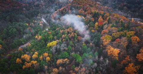 가을 가을 날씨 가을 색 가을 숲 가을 시즌 가을 풍경 가을의 나무 경치 경치가 좋은 계절 계절의 변화 고요한 골짜기 공중 숲 광야 나무 나무