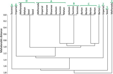 upgma dendrogram of pecan genotypes based on the mahalanobis distance