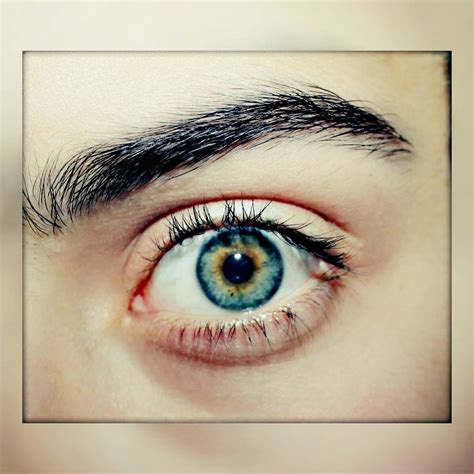 ლამაზ თვალება ქართველები