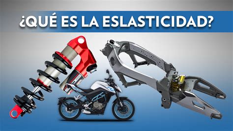 ¿qué Es La Elasticidad