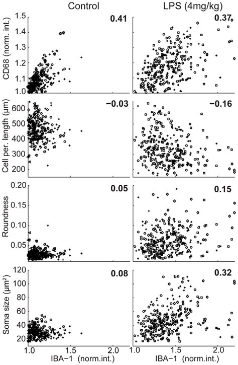 Correlation Between Morphological Parameters And Iba 1 Expression Download Scientific Diagram