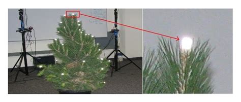Marker Placement On The Crown Periphery Avoids Occlusion While