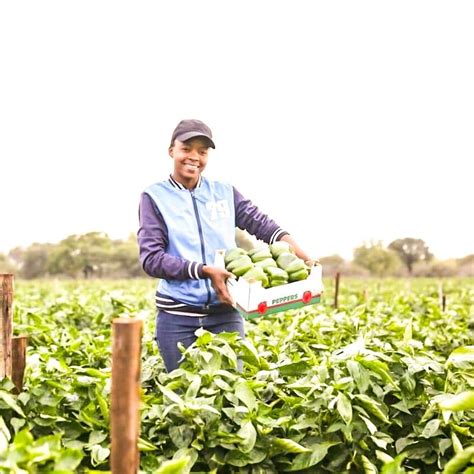 Linda Innocent Mkhize Posted On Linkedin