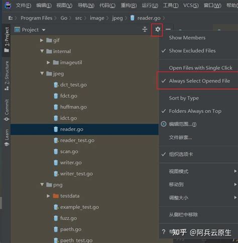 你不知道的goland技巧 知乎