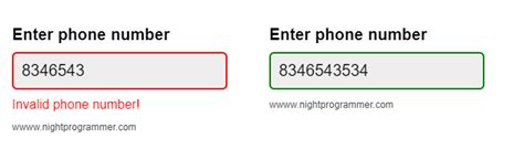 How To Validate Phone Number In Vuejs Example Night Programmer