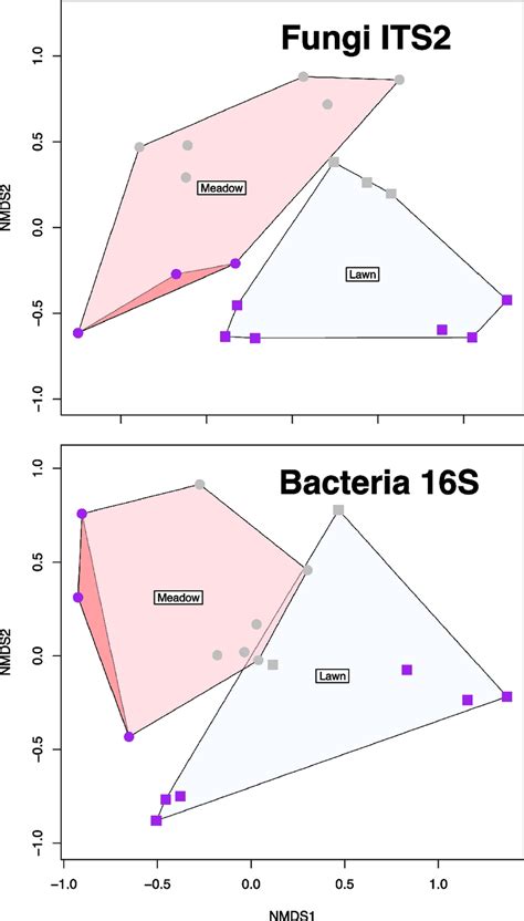 nonmetric multidimensional scaling plots for fungal its2 and bacterial
