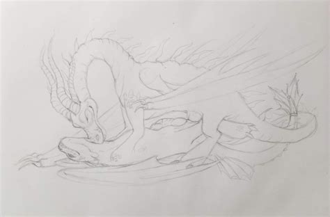 Rule 34 Anal Anal Sex Claws Dragon Dreamworks Duo Feral Fivers11