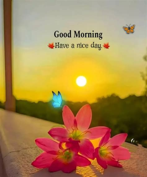 Dileep Kumar Dileepkumarup55 • Instagram Photos And Videos