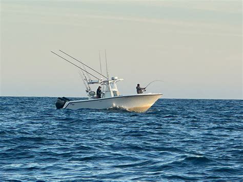 Inshore Tuna: South Jersey Checklist - The Fisherman
