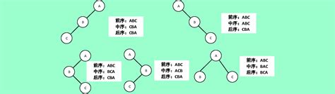 树和二叉树 第6章 《数据结构题集》习题解析 严蔚敏吴伟民版 Csdn博客