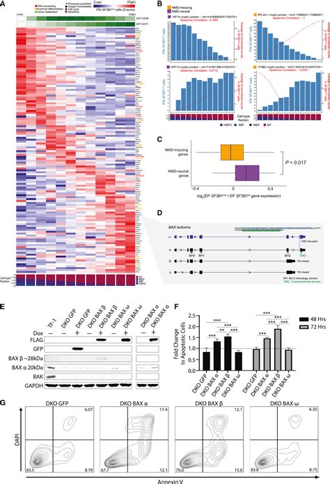 Single Cell Multi Omics Defines The Cell Type Specific Impact Of