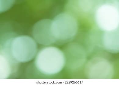 Blur Green Bokeh Nature Background Stock Photo 2229266617 | Shutterstock