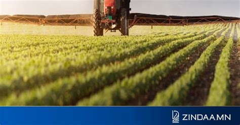 Хүнс хөдөө аж ахуйн үйлдвэрлэлд ₮361 4 тэрбумын зээл олгожээ