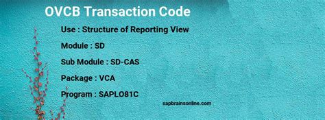 OVCB SAP Tcode For Structure Of Reporting View
