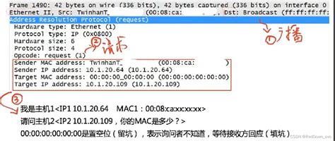 学习笔记网络1 网络基础nsendnum Sendtosock Sendbuf Sizeofsendbuf Csdn博客