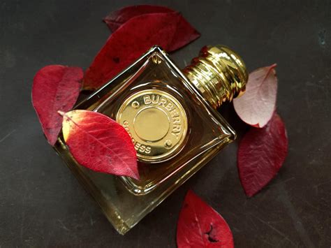 Goddess Burberry Perfume A Fragrance For Women 2023